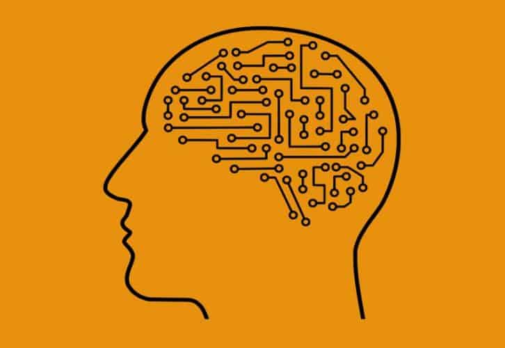 ISTJ - The Logistician Personality Traits | Life Falcon