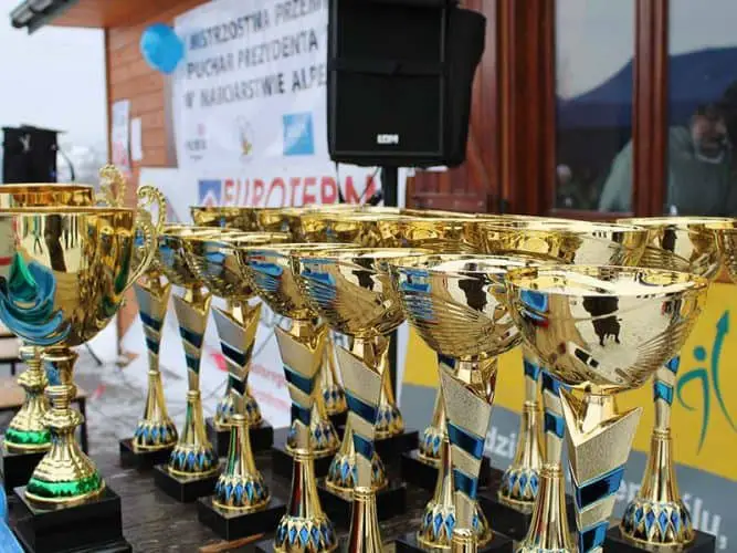 What Are The Pros And Cons Of Participation Trophies? - Life Falcon